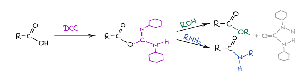 Carboxylic Acids and Carboxylic Acid Derivatives — Organic Chemistry Tutor