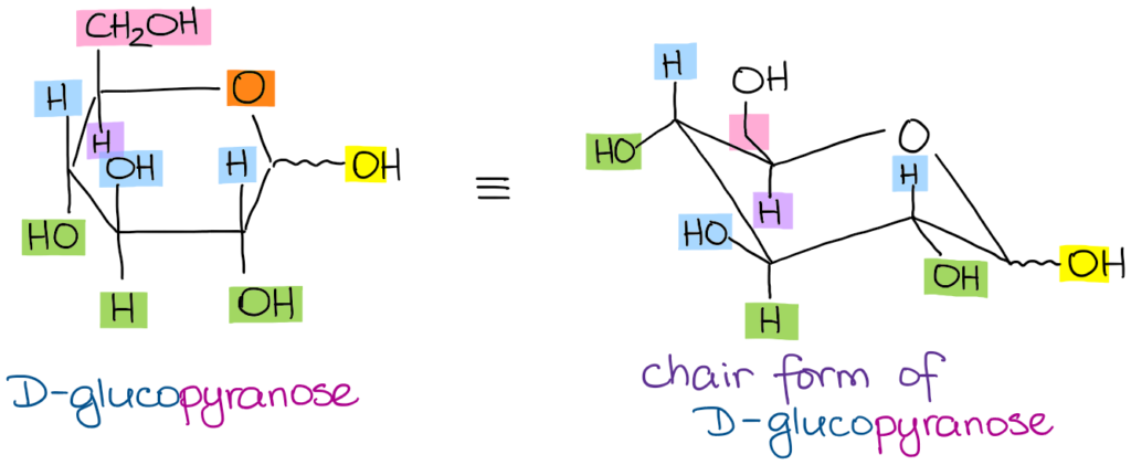 Converting Between Fischer, Haworth, and Chair Forms of Carbohydrates ...