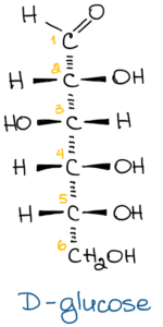 Nomenclature of Carbohydrates (the Fundamentals) — Organic Chemistry Tutor