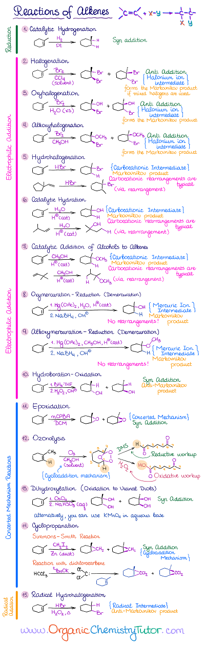 Reactions of Alkenes: The Must-Have Guide — Organic Chemistry Tutor