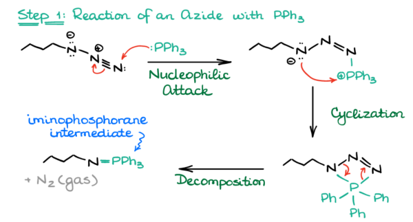 Staudinger Reaction — Organic Chemistry Tutor