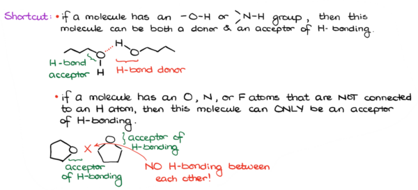 Intermolecular Forces in Organic Chemistry — Organic Chemistry Tutor