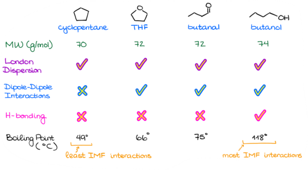Intermolecular Forces in Organic Chemistry — Organic Chemistry Tutor