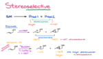 Stereospecific vs Stereoselective Reactions — Organic Chemistry Tutor