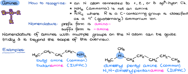 Functional Groups in Organic Chemistry — Organic Chemistry Tutor