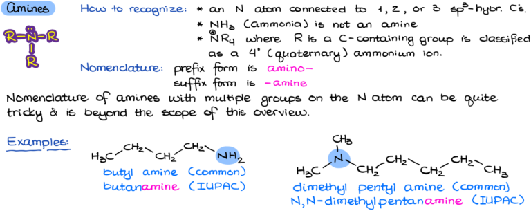 Functional Groups in Organic Chemistry — Organic Chemistry Tutor