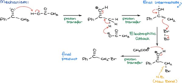 Halogenation of Ketones and Haloform Reaction — Organic Chemistry Tutor