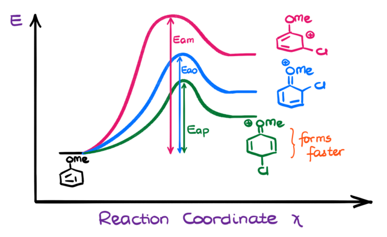 Directing Effects in Electrophilic Aromatic Substitution Reactions ...
