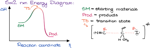 SN2 Reactions — Organic Chemistry Tutor