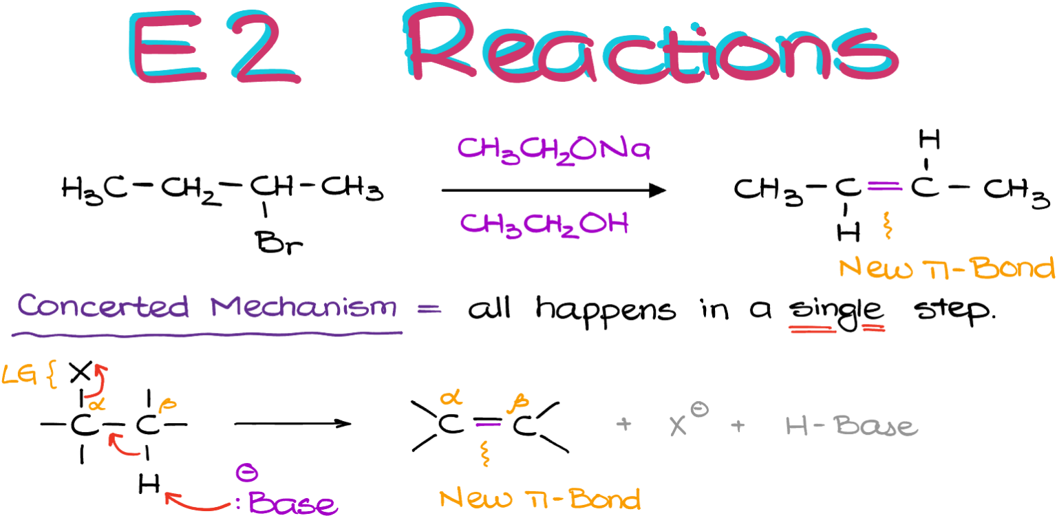 E2 Reactions — Organic Chemistry Tutor