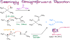 E1 Reactions — Organic Chemistry Tutor