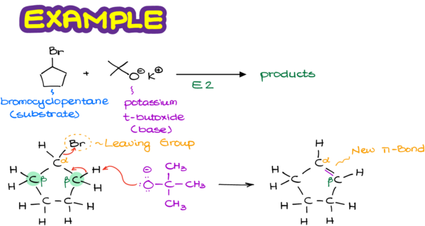 E2 Reactions — Organic Chemistry Tutor
