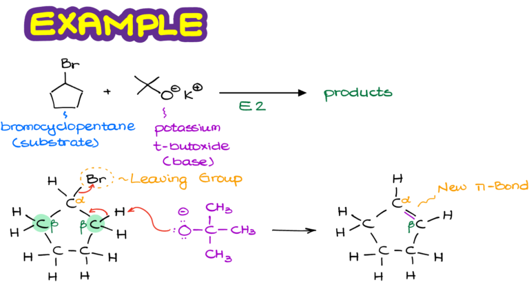 E2 Reactions — Organic Chemistry Tutor