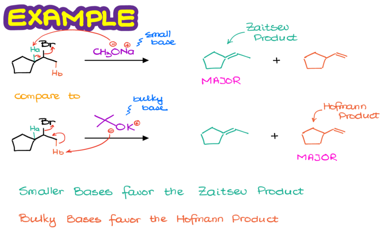 E2 Reactions — Organic Chemistry Tutor
