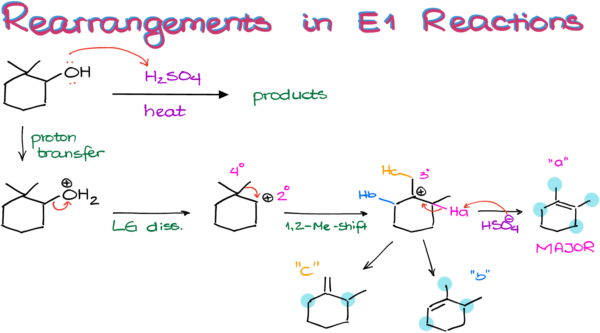 E1 Reactions — Organic Chemistry Tutor