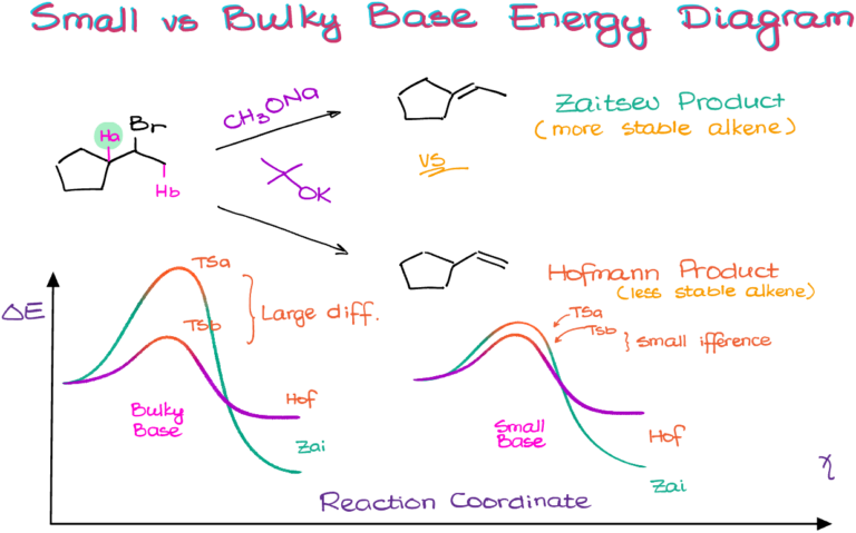 E2 Reactions — Organic Chemistry Tutor