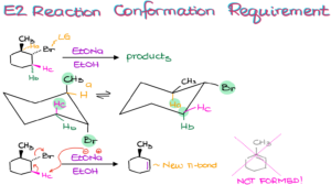 E2 Reactions — Organic Chemistry Tutor
