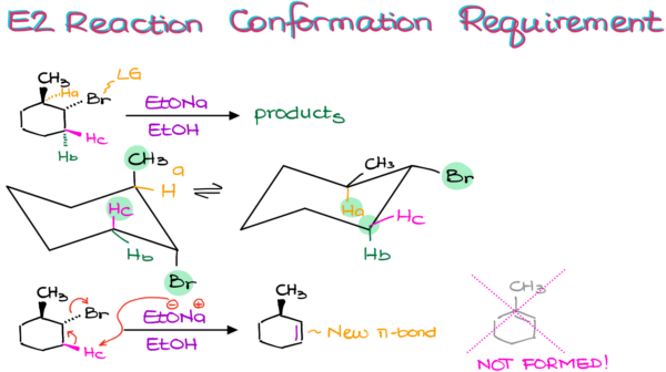 E2 Reactions — Organic Chemistry Tutor