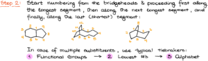 Bicyclic Compounds — Organic Chemistry Tutor