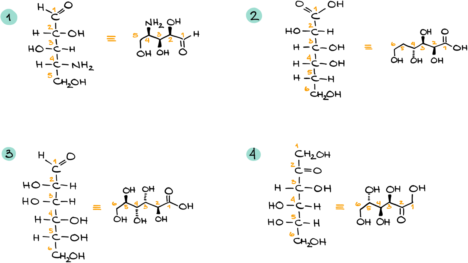 Fischer Projections — Organic Chemistry Tutor