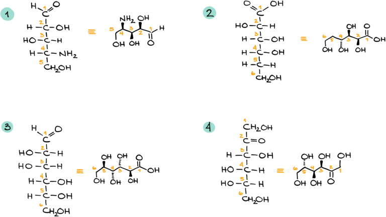 Fischer Projections — Organic Chemistry Tutor