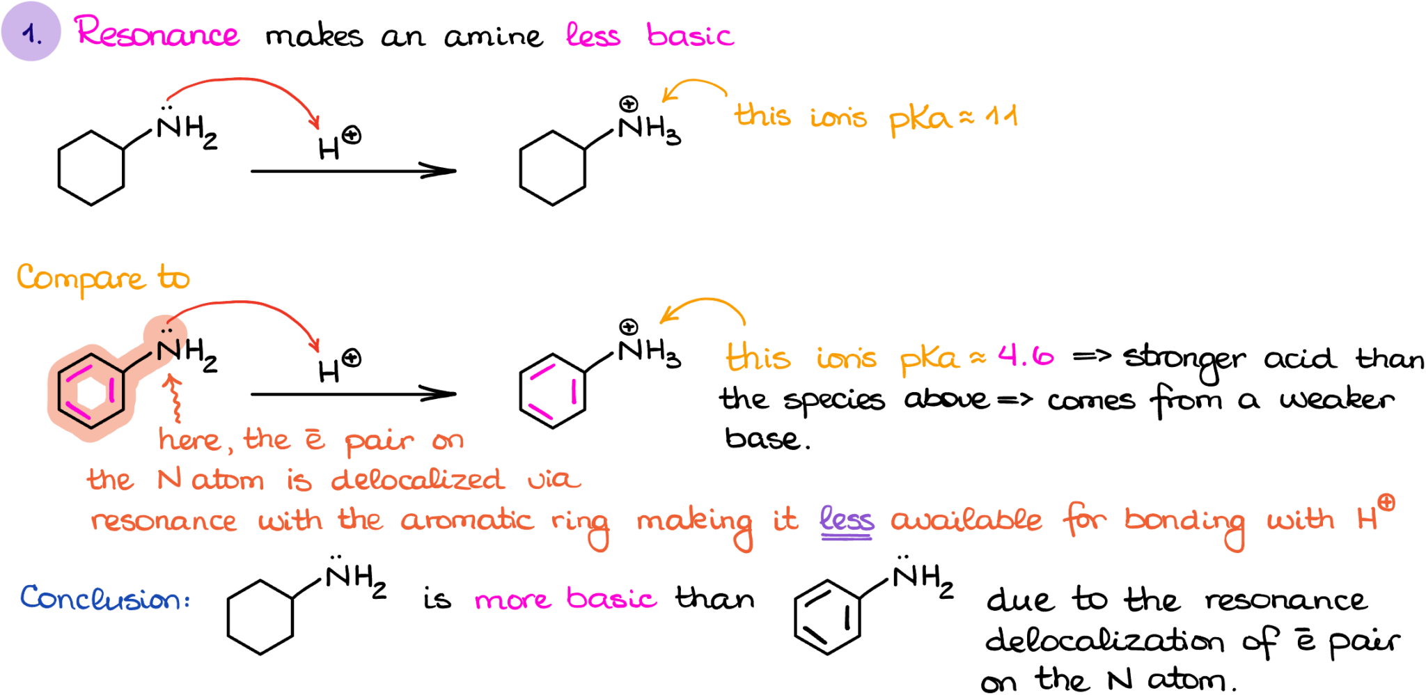 Basicity of Amines — Organic Chemistry Tutor