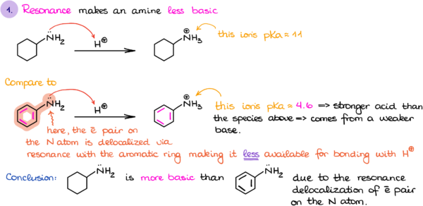Basicity of Amines — Organic Chemistry Tutor