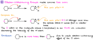 Basicity of Amines — Organic Chemistry Tutor