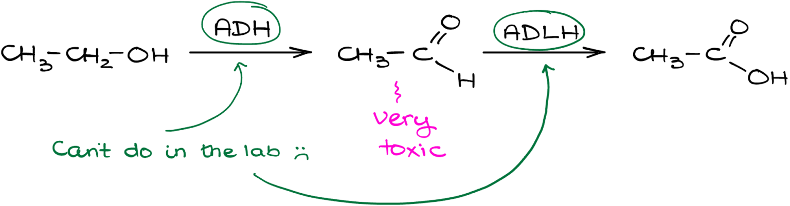 Oxidation of Alcohols: Overview — Organic Chemistry Tutor
