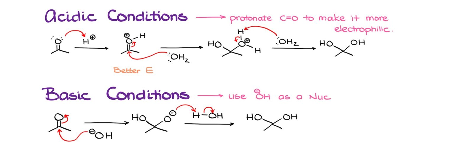 Formation of Hydrates from Aldehydes and Ketones — Organic Chemistry Tutor