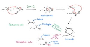 Ozonolysis of Alkenes — Organic Chemistry Tutor