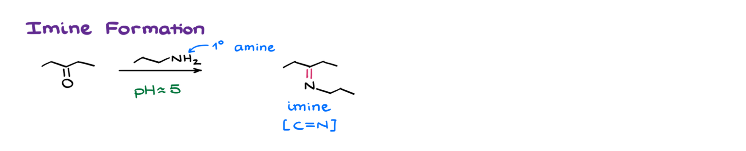 Formation of Imines and Enamines — Organic Chemistry Tutor