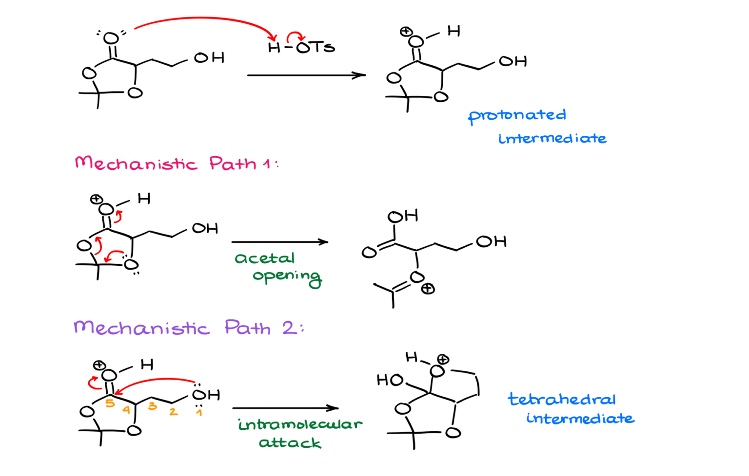 Acetal Mechanism Challenge — Organic Chemistry Tutor