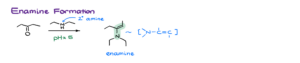 Formation of Imines and Enamines — Organic Chemistry Tutor