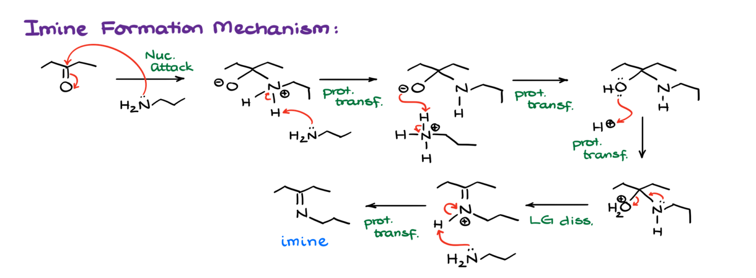 Formation of Imines and Enamines — Organic Chemistry Tutor