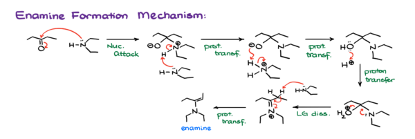 Formation of Imines and Enamines — Organic Chemistry Tutor
