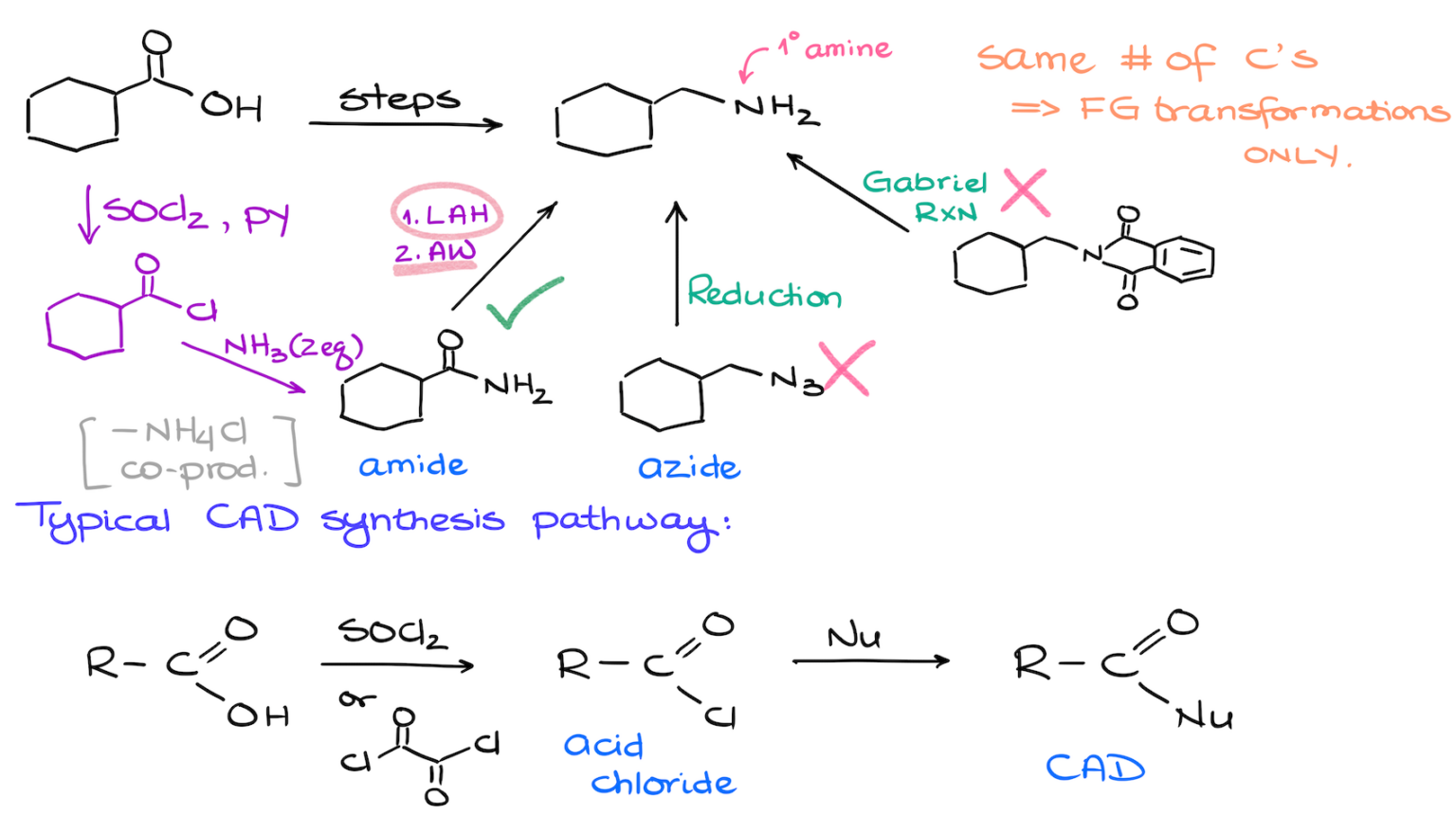 17. Synthesis of Primary Amines from Carboxylic Acids — Organic Chemistry Tutor
