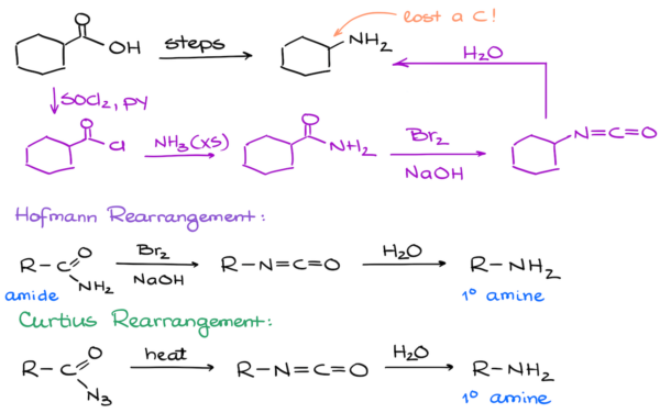 17. Synthesis of Primary Amines from Carboxylic Acids — Organic ...