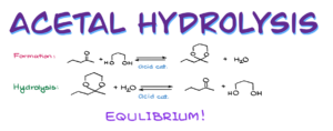 Acetals Formation and Hydrolysis — Organic Chemistry Tutor