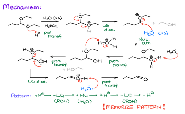 Acetals Formation and Hydrolysis — Organic Chemistry Tutor