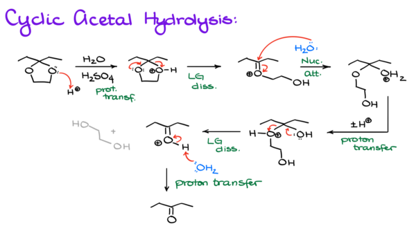 Acetals Formation and Hydrolysis — Organic Chemistry Tutor