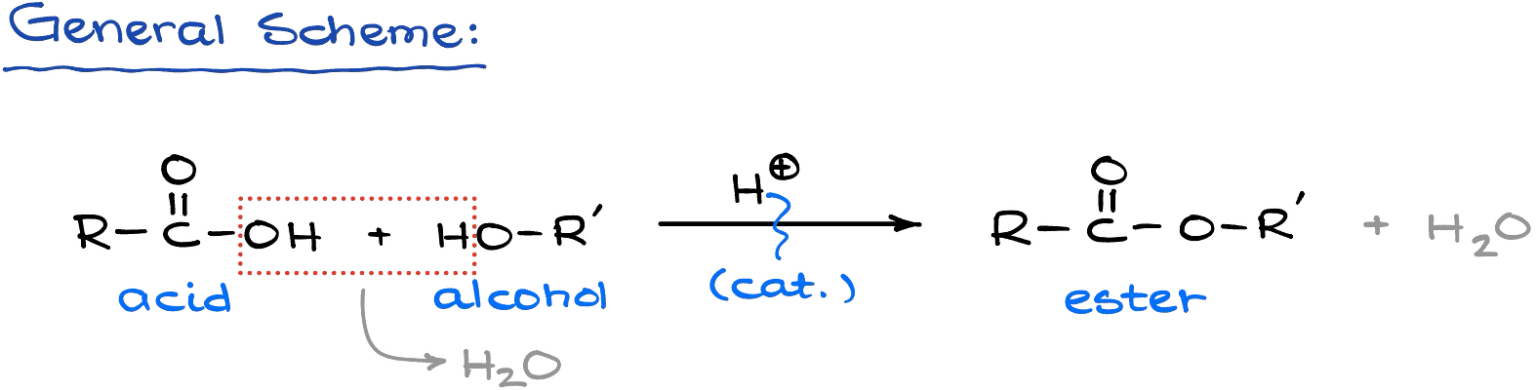 Fischer Esterification — Organic Chemistry Tutor