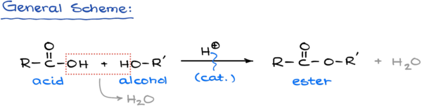 Fischer Esterification — Organic Chemistry Tutor