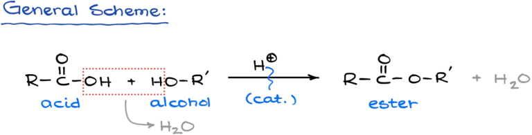 Fischer Esterification — Organic Chemistry Tutor
