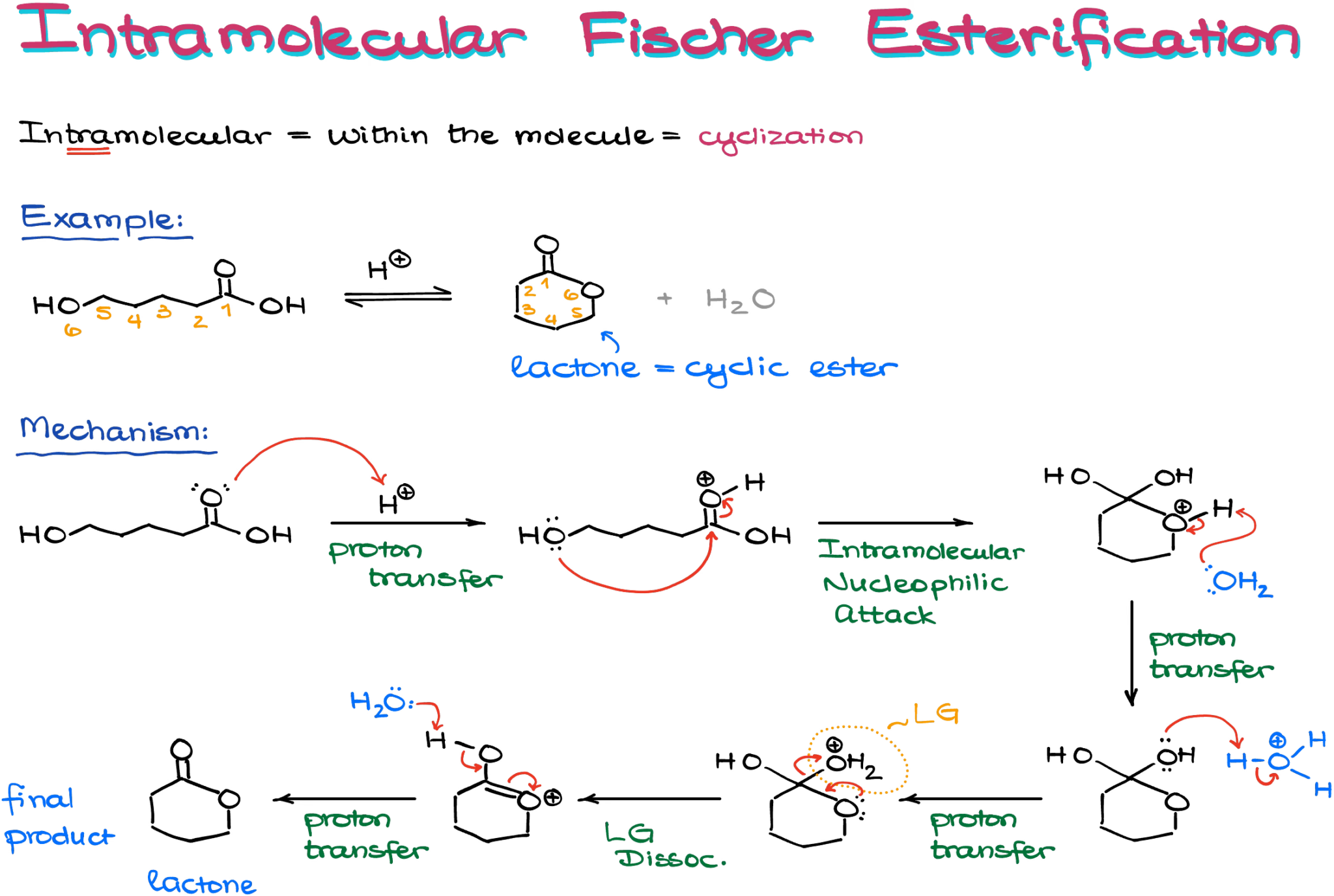 Fischer Esterification — Organic Chemistry Tutor