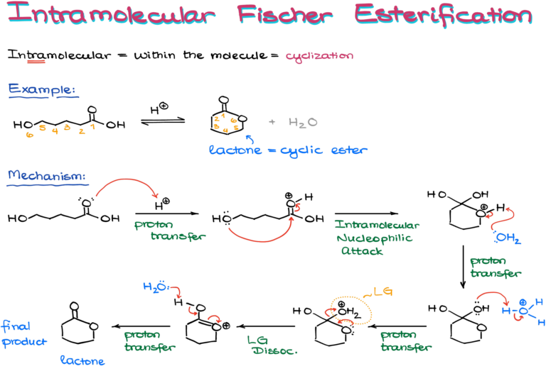 Fischer Esterification — Organic Chemistry Tutor