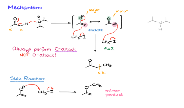 Alkylation of Enolates — Organic Chemistry Tutor