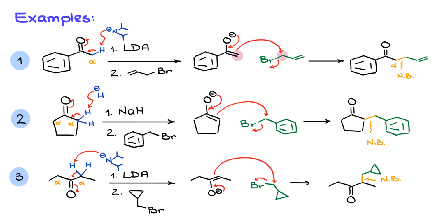 Alkylation of Enolates — Organic Chemistry Tutor