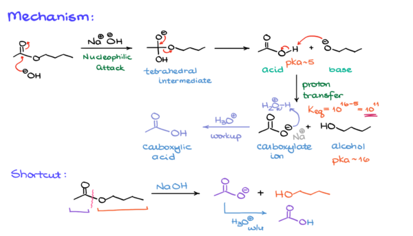 Saponification of Esters — Organic Chemistry Tutor