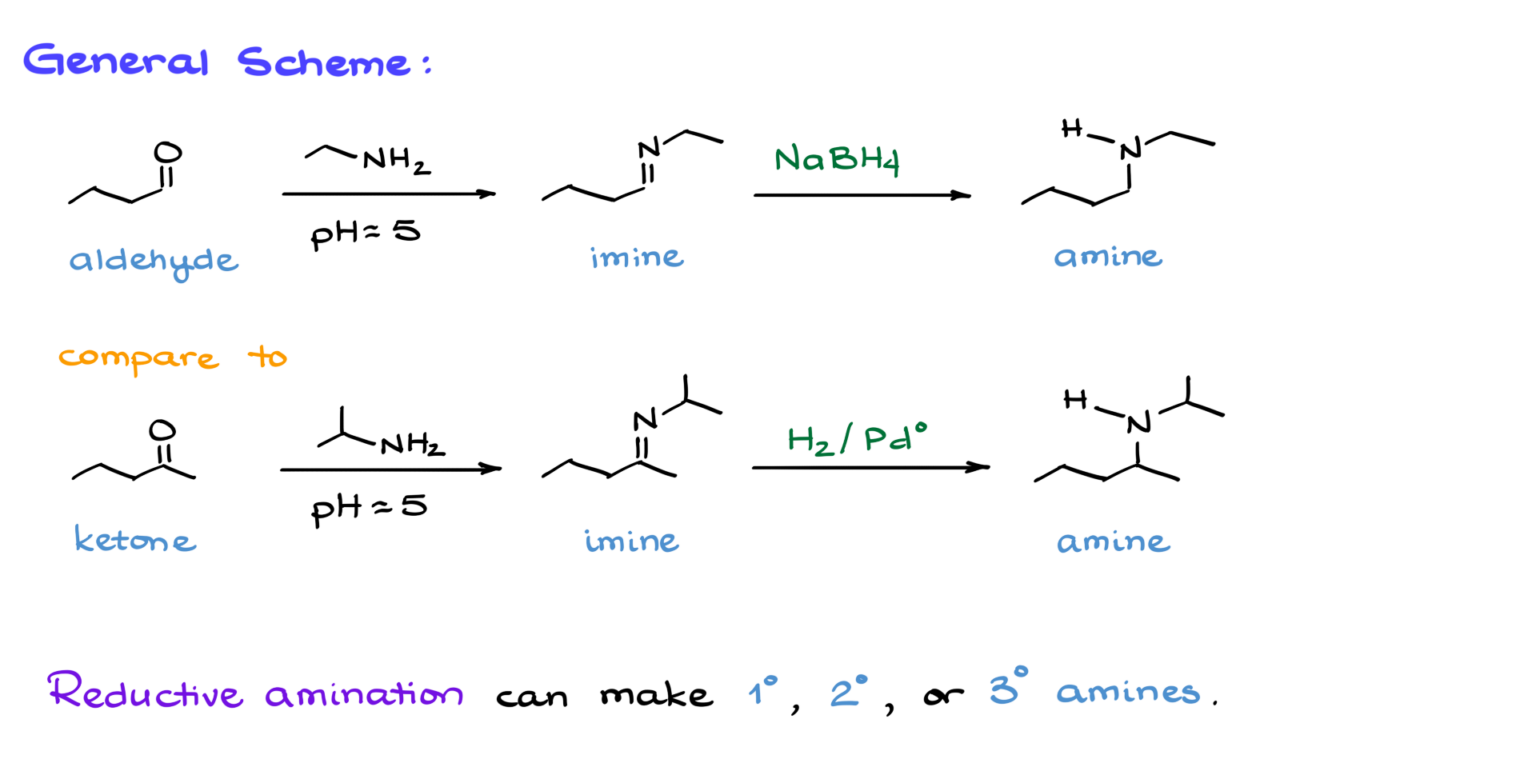 Reductive Amination — Organic Chemistry Tutor